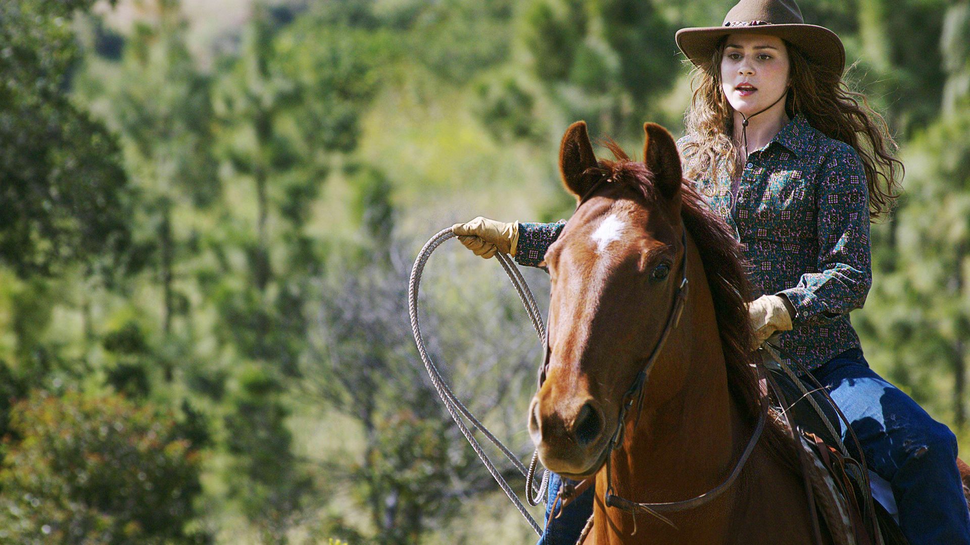 Flicka ฟลิคกา เจ้าม้าเพื่อนรัก - MONO29 TV Official Site